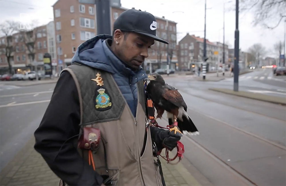 Dit is de man die met zijn roofvogel op de arm door Rotterdam-Oost ...